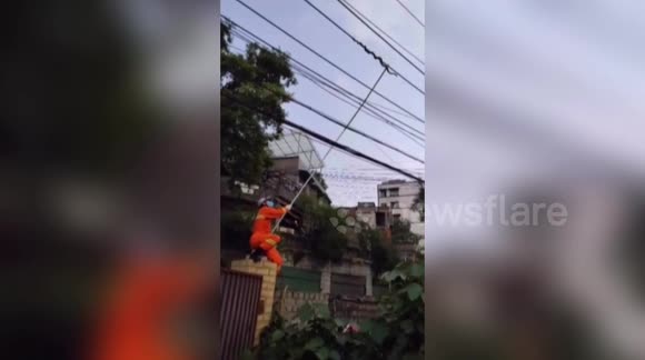 Chinese firefighters catch snake wrapped around power lines - Buy, Sell ...