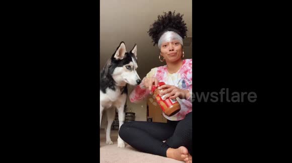Saran Wrap and peanut butter. This just made cutting dog nails a breeze ...
