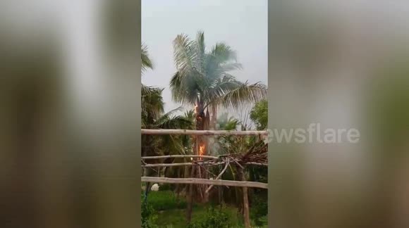 Cyclone Amban Lightning Strike Coconut Tree Causing Fire In Southern ...