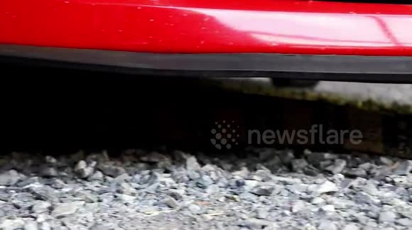Monitor lizard caught after getting stuck in under car - Buy, Sell or ...