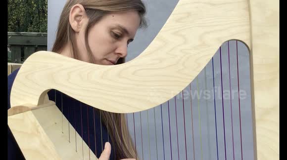 Dyslexic harpist invents new harp with rainbow strings and matching ...