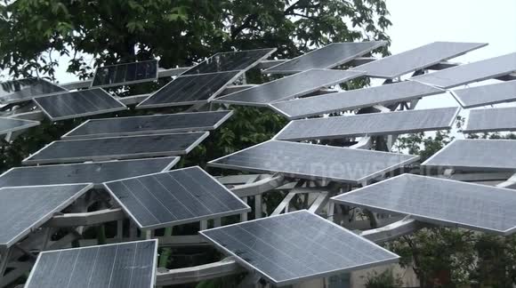 Indian engineering firm build 'world's largest' solar tree made from 35 ...