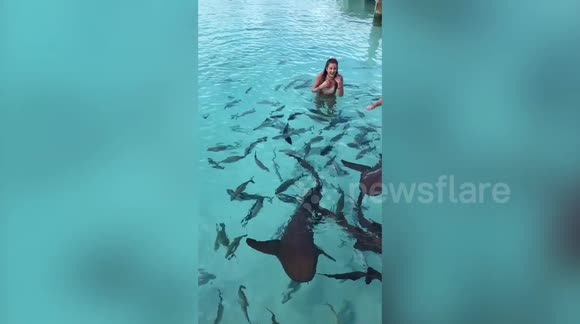 This stunning footage shows the moment a woman was filmed posing in the ...