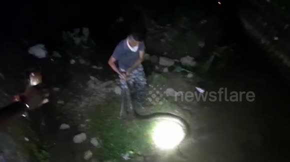 Snake rescuer wrestles 12-foot-long python out of drainpipe in northern ...