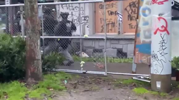 Police Violently Sweeps Homeless Encampment In Cal Anderson Park ...