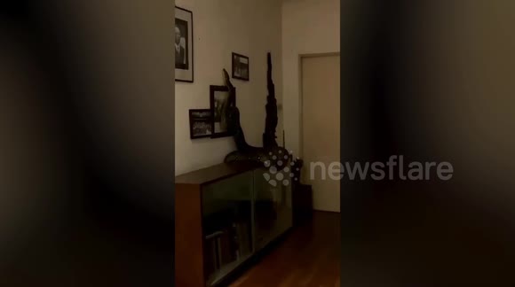 Huge 17-foot-long python crashes through roof into family’s dining room ...