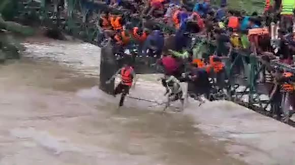 Locals swim through raging river to catch their supper after dam was ...