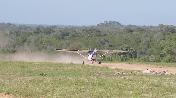 Terrifying moment deer crosses runway inches from plane's propeller as ...