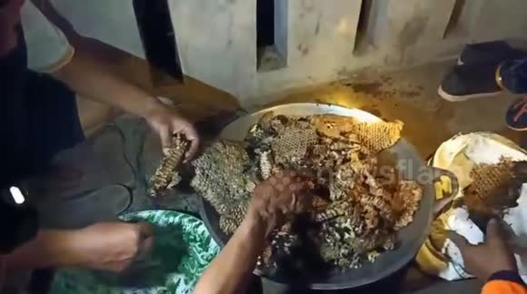 Indonesian pest control team fry and eat wasps after burning nest - Buy ...