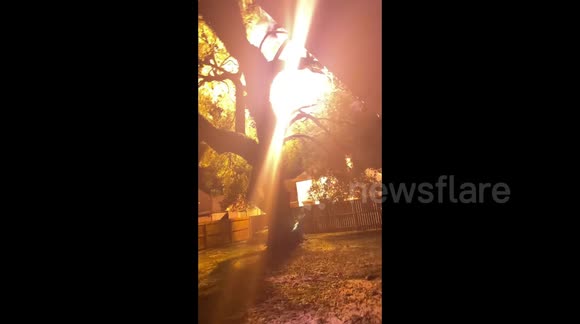 Powerline in Louisiana explodes after contact with frozen tree - Buy ...