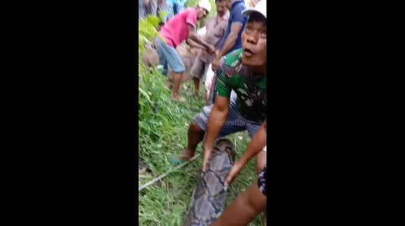 Wild boar hunters in Indonesia catch monster 23ft-long python - Buy ...