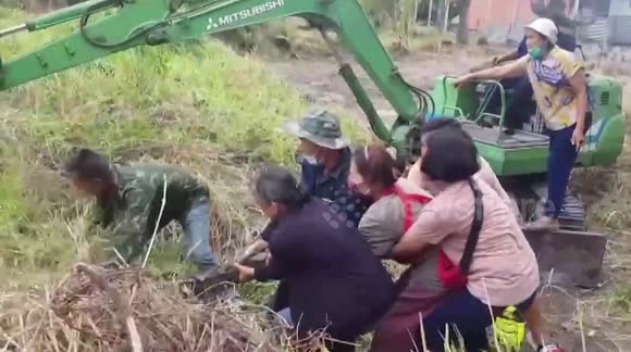 Massive 100 kg python caught outside home in Thailand - Buy, Sell or ...