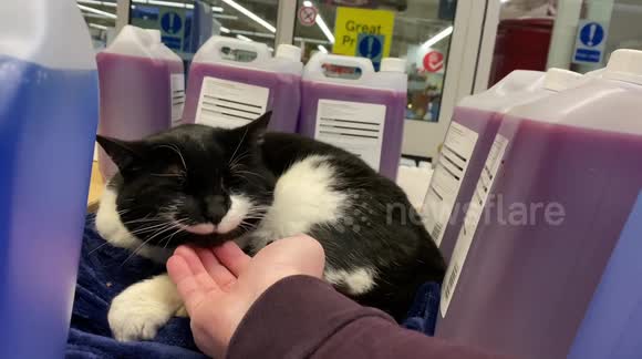 This video shows the moment a Tesco shopper reached out and moved a ...