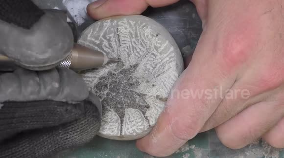 Fossil enthusiast uncovers 12-million-year-old crab that resembles a ...
