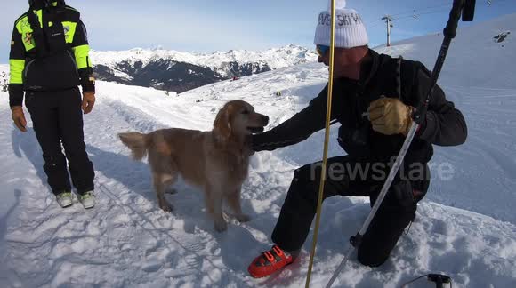 YouTuber buried in snow films his POV as he is rescued by dog in ...
