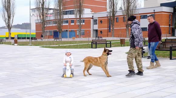 Dog protects child from potential assailants in intense training drill ...