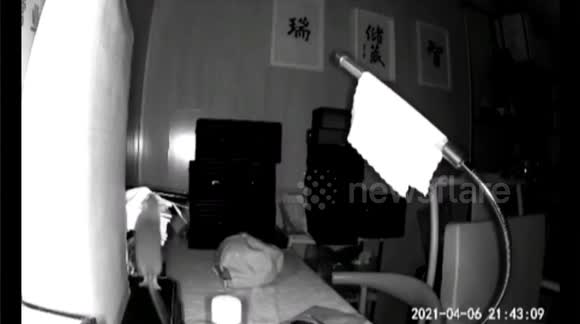 Mouse caught hoarding over £5,500 worth of jewellery from Chinese shop ...