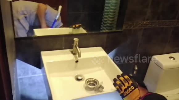 Wild python caught hiding under a toilet in Thailand - Buy, Sell or ...