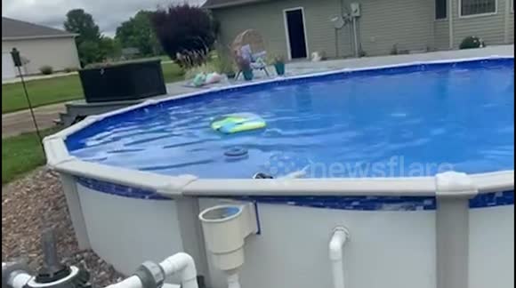Clever pooch comes up with ingenious way of getting in and out of ...