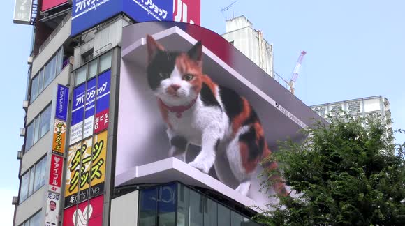 Hyper-realistic 3D cat appears on billboard outside Shinjuku station ...