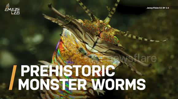 Monster prehistoric worms are the stuff of 20-million-year-old ...