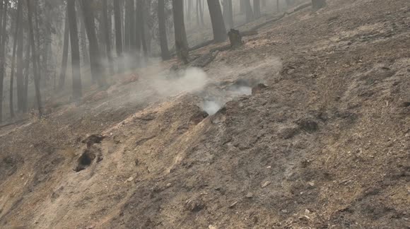 Underground Fires Continue to Burn in California Creating Dangerous ...