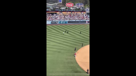 US: Ball Girl Takes Down Fan Running Onto Field At Dodger Stadium - Buy ...
