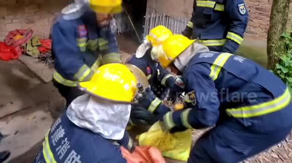 Chinese firefighters capture python that ate over a dozen of villager's ...