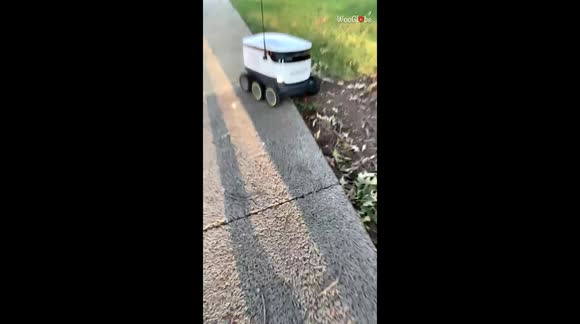 Filmer pleasantly surprised after stuck delivery robot thanks him for ...