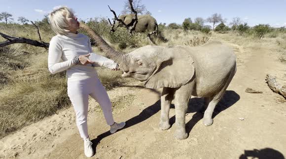 Orphaned baby albino elephant, Khanyisa, receives a milk bottle from ...