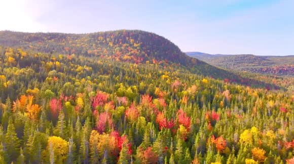 Drone footage captures stunning autumnal palette displayed by fall ...