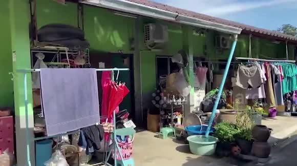 Giant python caught in terrified couple’s toilet in Thailand - Buy ...