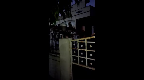 Dark night eye's (cat show his eye buti in dark nights) - Buy, Sell or ...