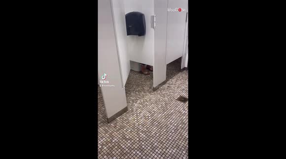 ''I know you're pooping' - Hilarious bathroom prank makes stranger VERY ...