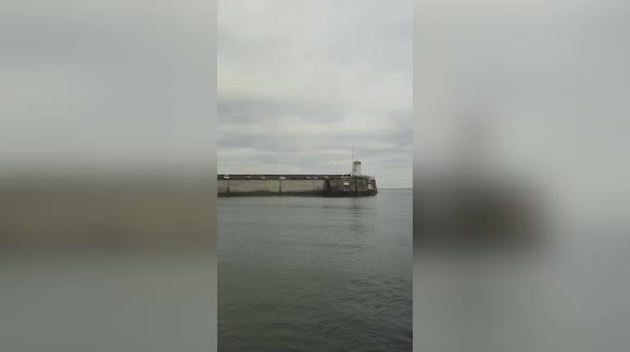 Walrus 'the size of a small fridge' spotted on Northumberland coast ...