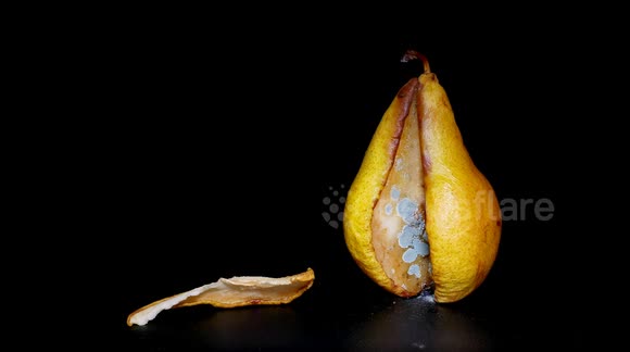 Oddly satisfying time-lapse shows pear decompose over 14 days - Buy ...