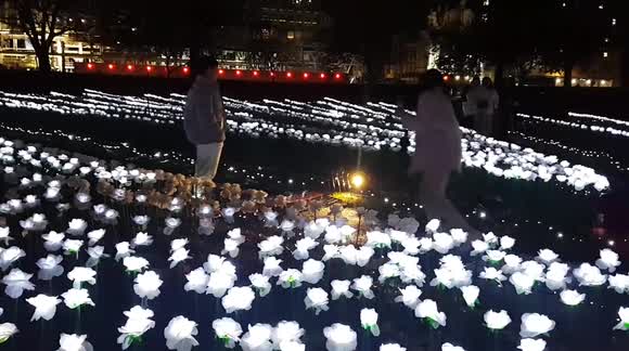 Tranquil and beautiful "Ever After Garden" returns to London's ...