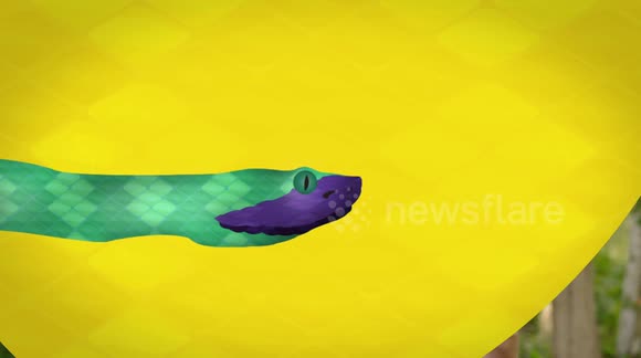The Difference Between Venom and Poison, and Other Wild Facts About Pit ...