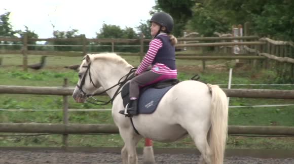 Young girl manages to remain seated on spooked horse during UK riding ...