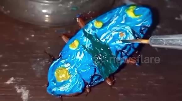 Artist uses dead cockroaches as painting canvases - Buy, Sell or Upload ...