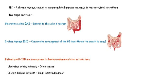 Ulcerative Colitis :Causes, Risk Factors, Pathogenesis, Clinical ...