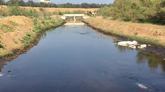 A campaign to turn Besor Stream into a natural reserve and park for ...