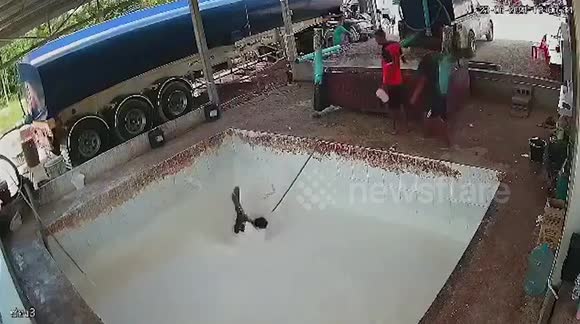 Worker falls into pit of liquid white rubber in Thailand - Buy, Sell or ...