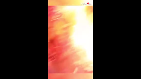 Cooking session goes incredibly wrong when dish explodes - Buy, Sell or ...