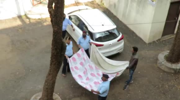 Rescuers in western India catch cat after 75-foot fall from tree - Buy ...