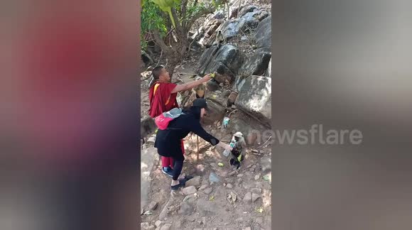 The Adorable moment a Buddhist monk & lady gives thirsty monkey a drink ...