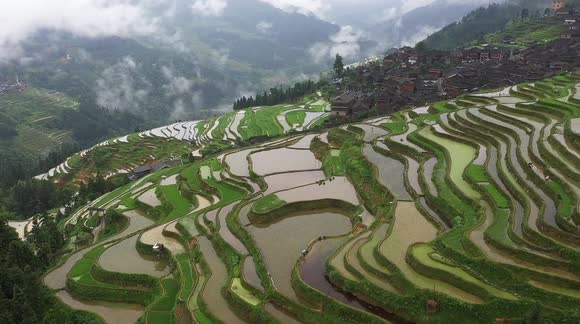 Stunning Aerial Video Of Jiabang Rice Terraces In Congjiang County ...