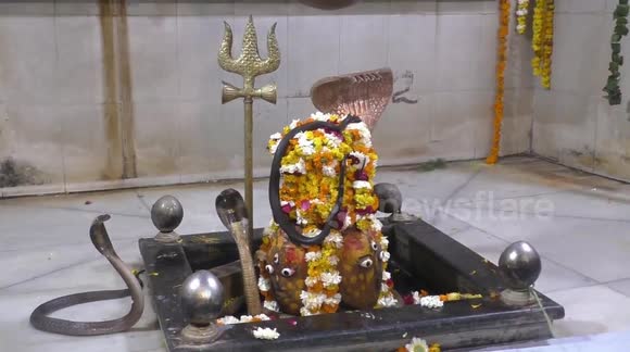 Shrine to Hindu god is surrounded by cobras during festival in India ...