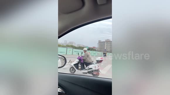 Man spotted riding three-wheeler being pulled by a dog in China - Buy ...