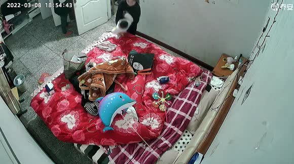 Chinese mother's quick reflexes save baby from falling off bed - Buy ...